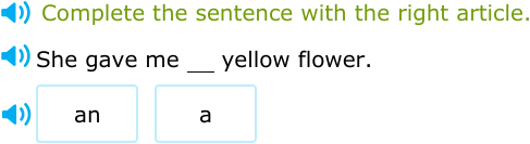 IXL - Use the correct article: a or an (1st class English practice)
