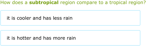 IXL - Words with sub- (1st year English practice)