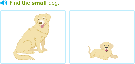 IXL - Compare pictures using adjectives (Junior infants English practice)