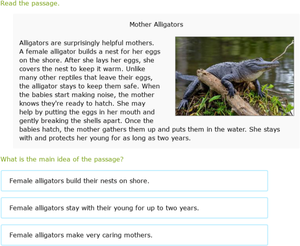 IXL - Determine the main idea of a passage (3rd class English practice)